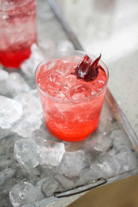 Raspberry Hibiscus Shrub - This Mess is Ours