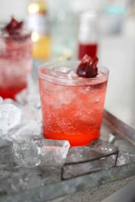 Raspberry Hibiscus Shrub - This Mess is Ours