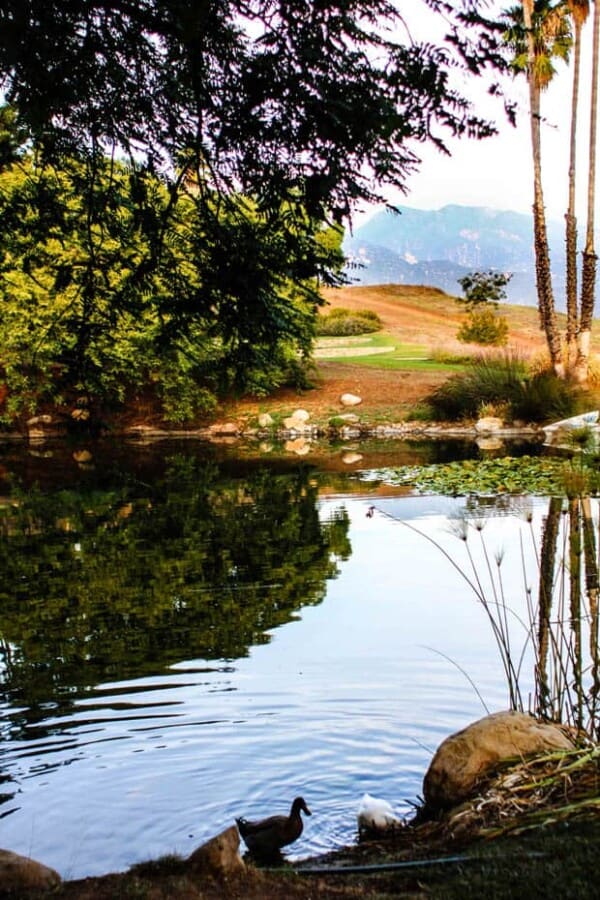 Central California Farm Tour with California Grown - This Mess is Ours