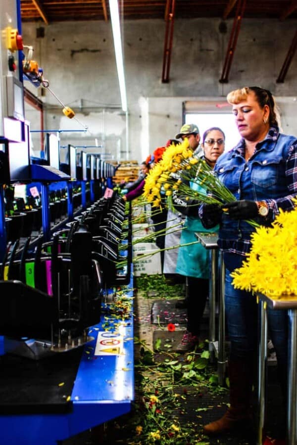 Central California Farm Tour with California Grown - This Mess is Ours