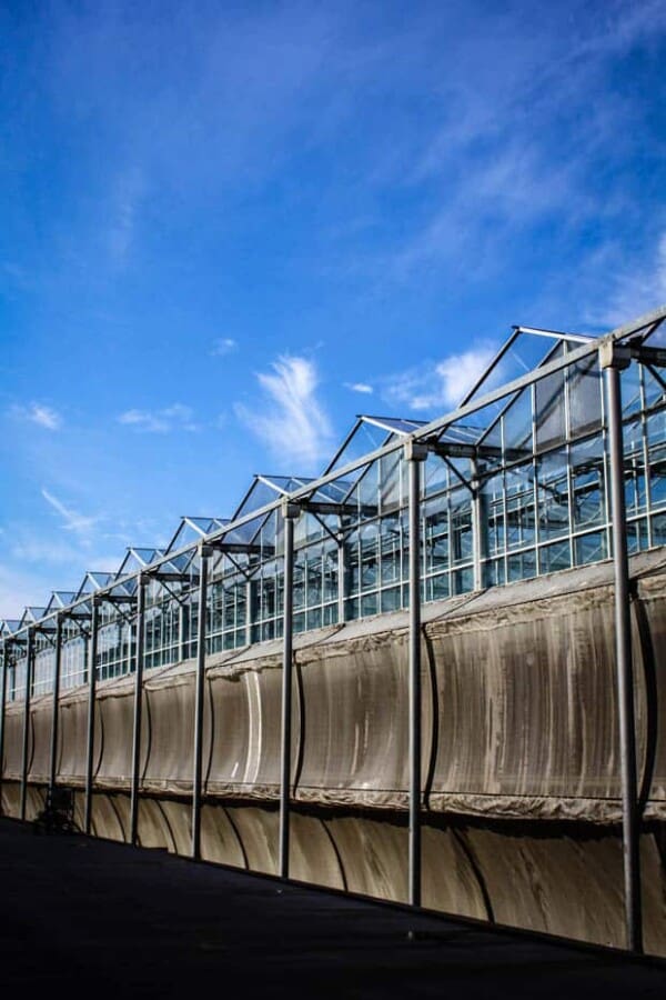 Central California Farm Tour with California Grown - This Mess is Ours