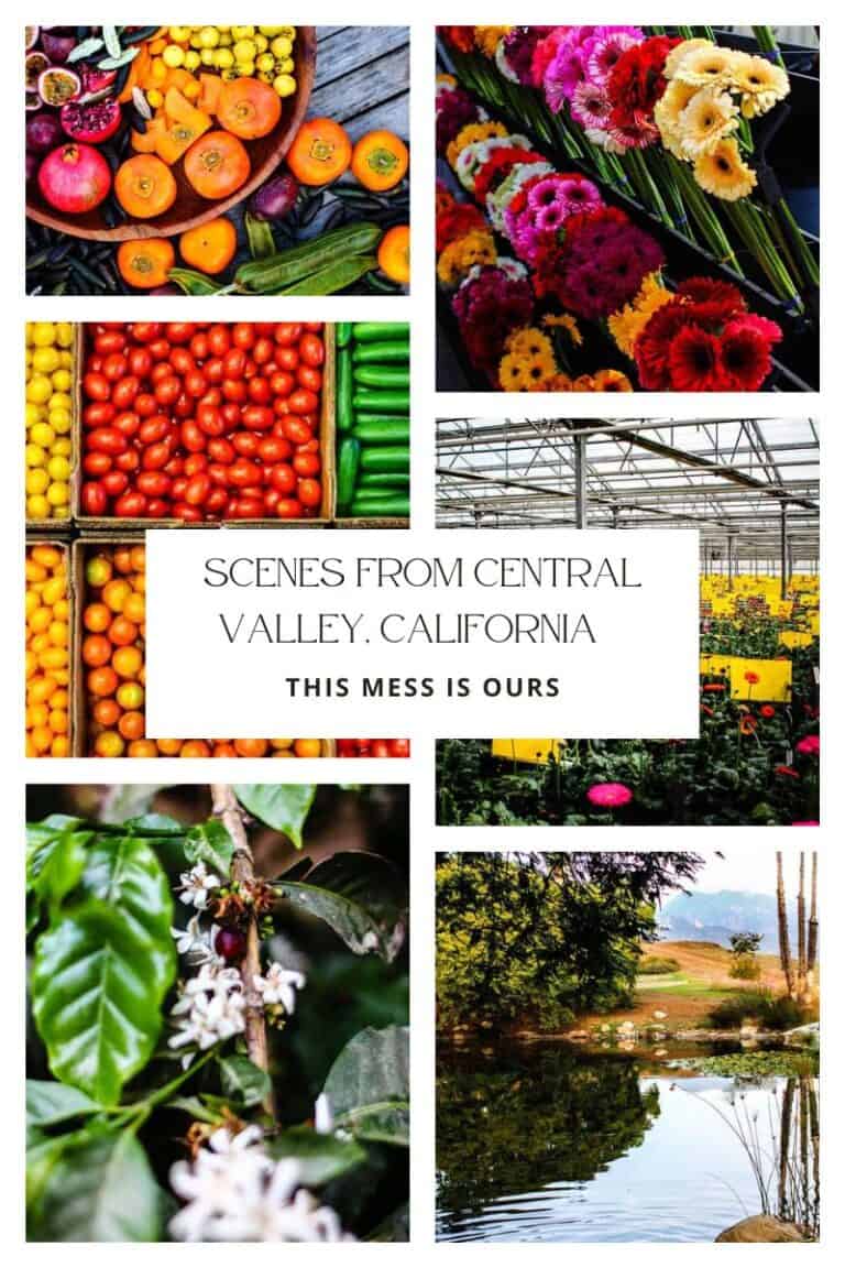 Central California Farm Tour with California Grown - This Mess is Ours