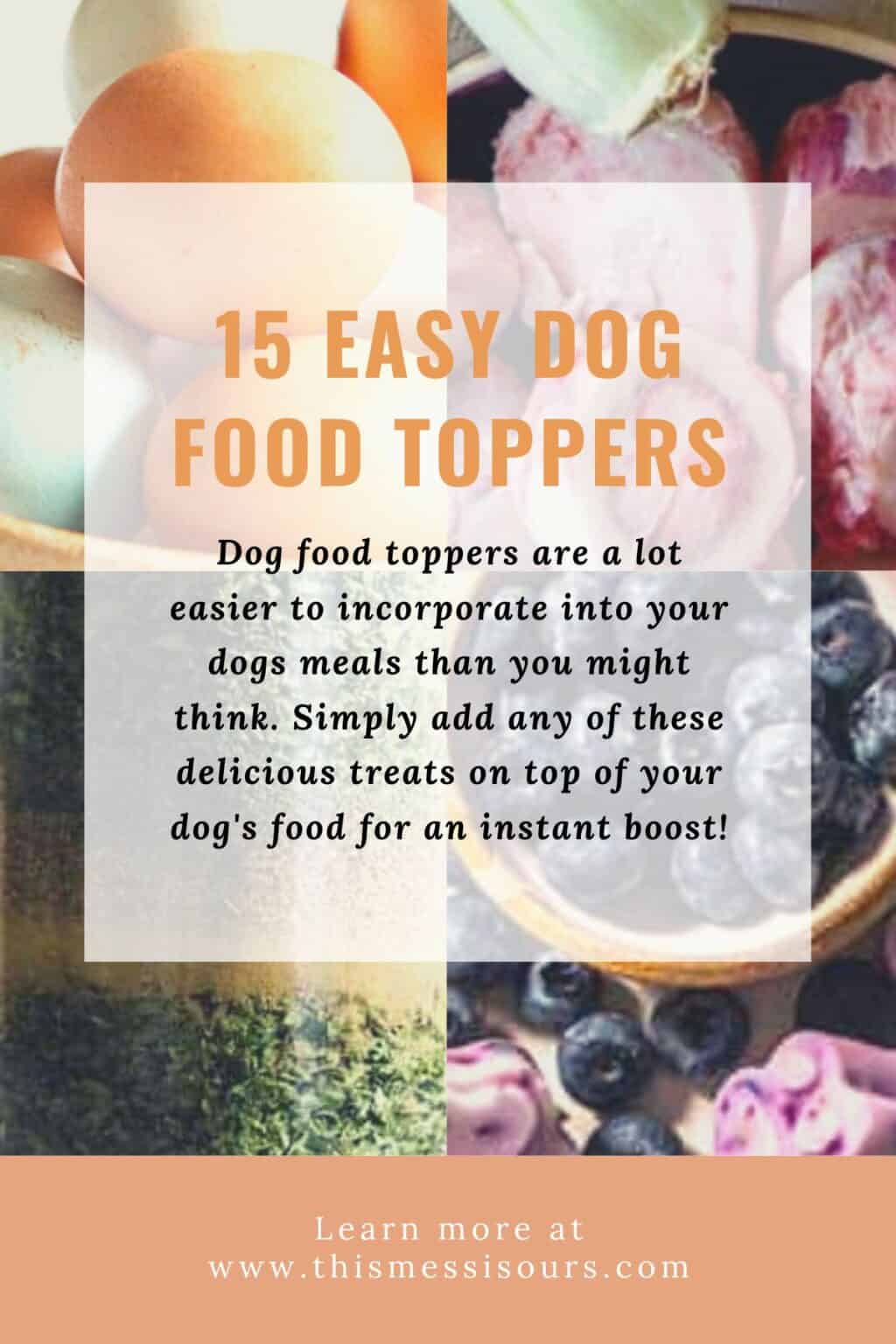 The Best Easy Dog Food Toppers To Give Your Pup - This Mess is Ours
