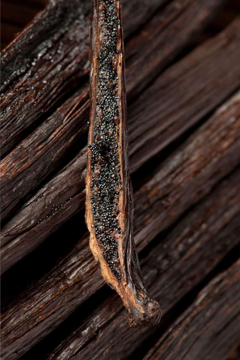 How Vanilla Extract is Made; An Easy Recipe - This Mess is Ours