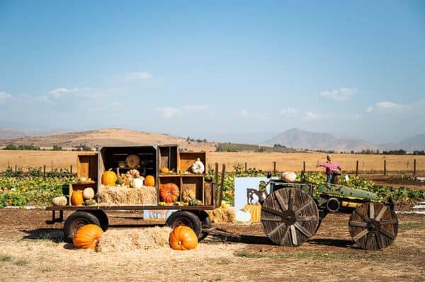 The Best Places To Visit In California's San Joaquin Valley - This Mess ...