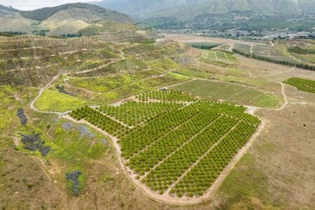 The Best Things To Do In Temecula - This Mess is Ours